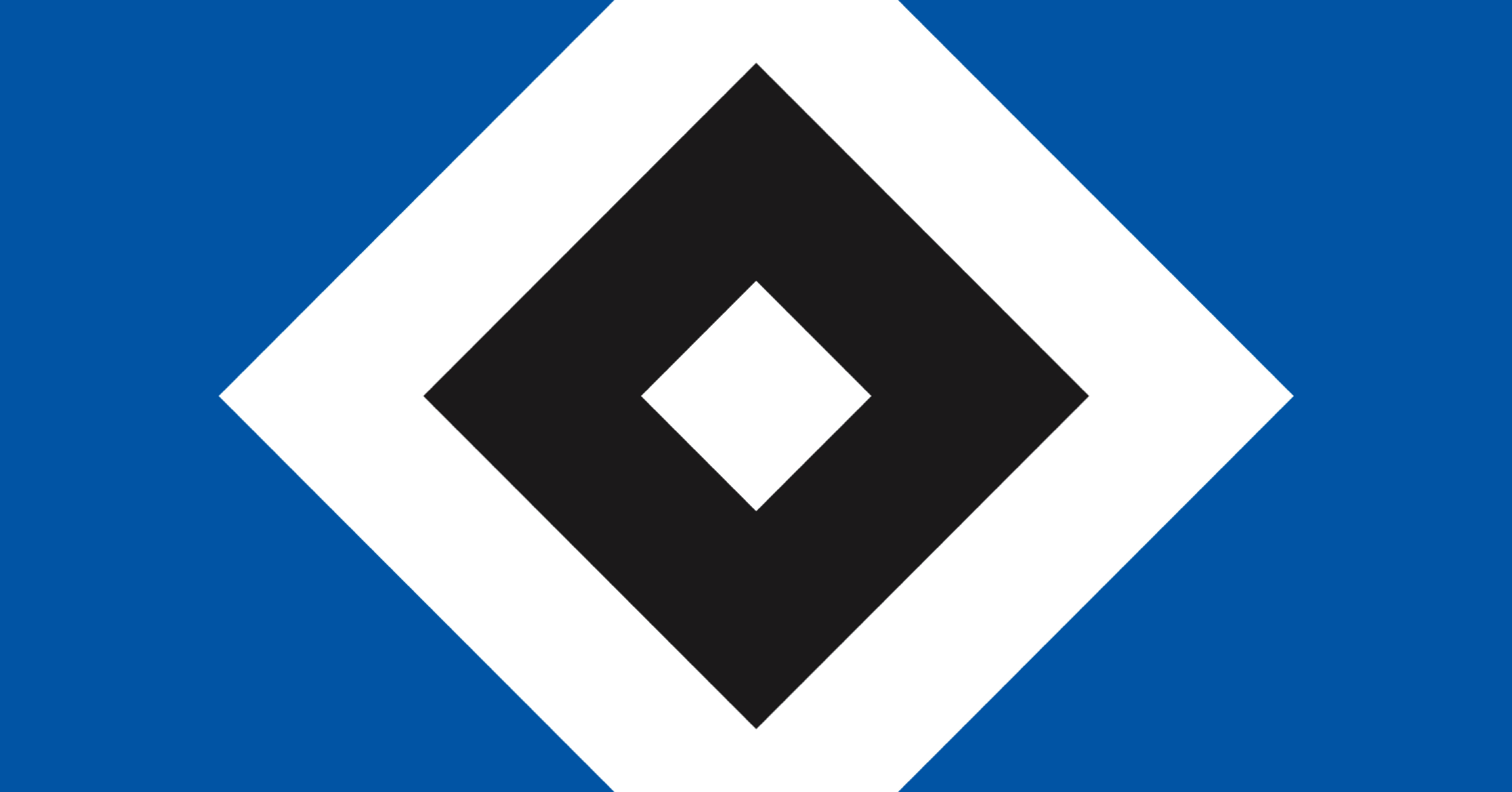 Ordentliche Mitgliederversammlung im Sommer 2025 | HSV e.V.