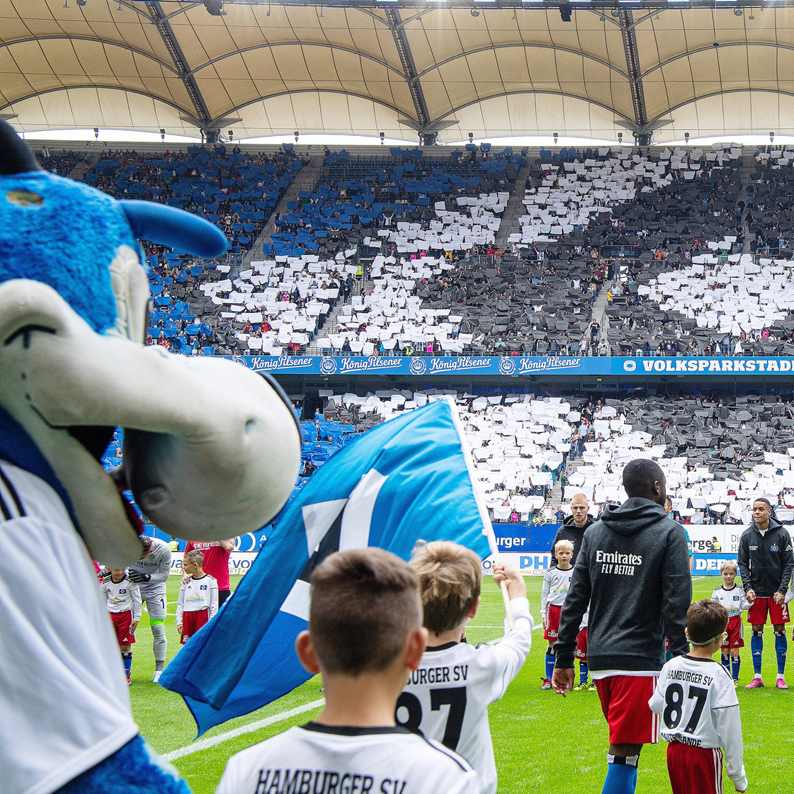 Mitglied werden | HSV e.V.